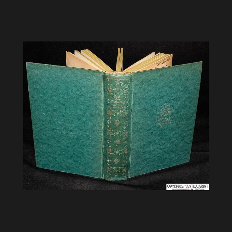 Cortes Die Eroberung von Mexiko